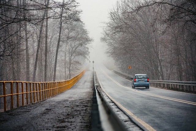 Learn the Costs of Moving Your Car to Another State - MindxMaster