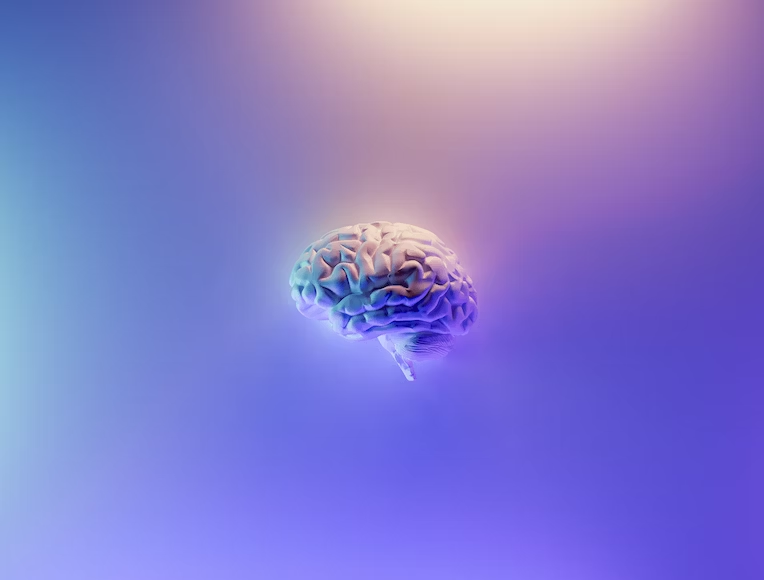 Top 5 Important Points About Cognitive Potential Health - MindxMaster