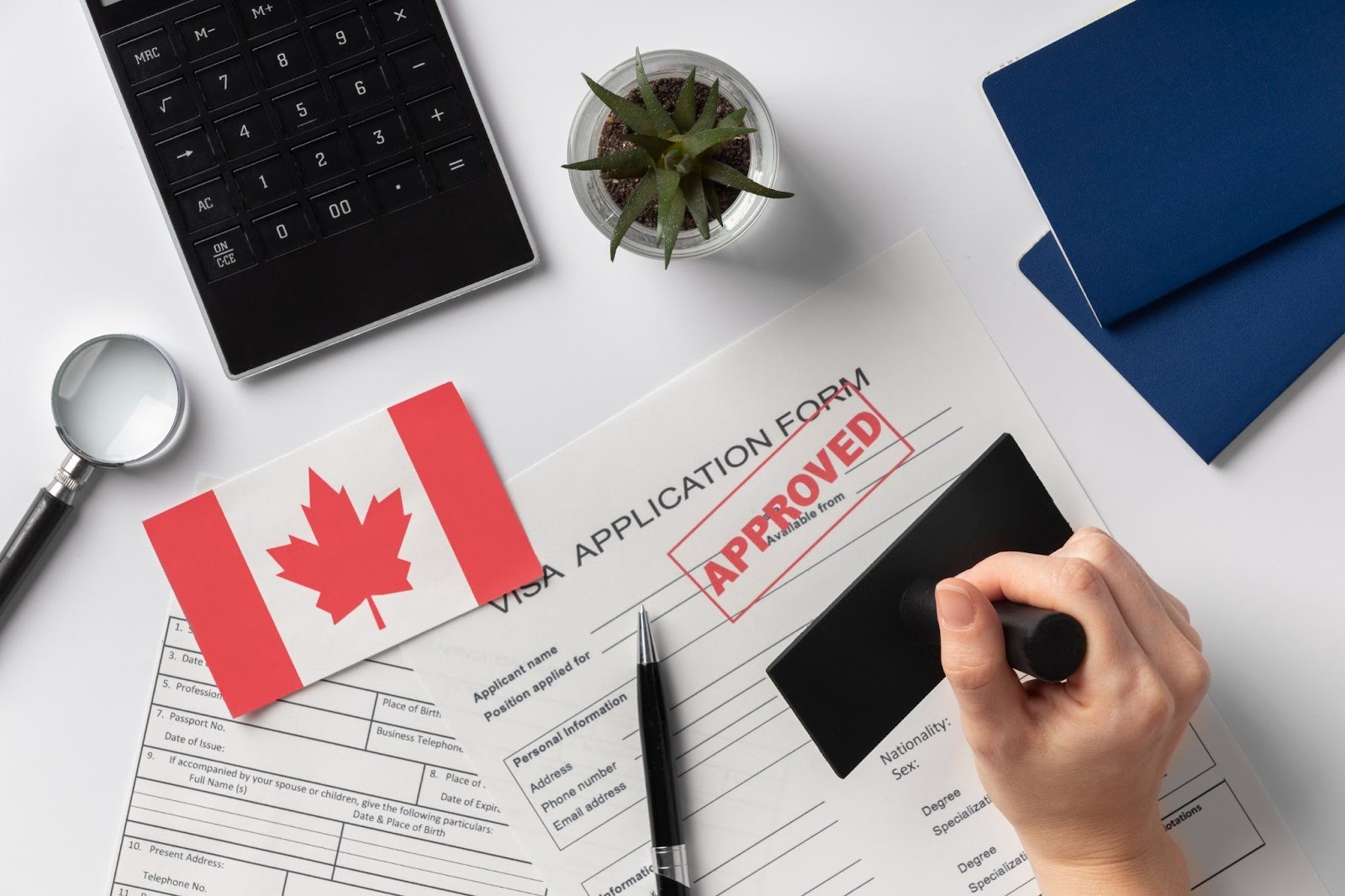 Express Entry Toronto Breakdown: Requirements, Strategy, Timeline ...
